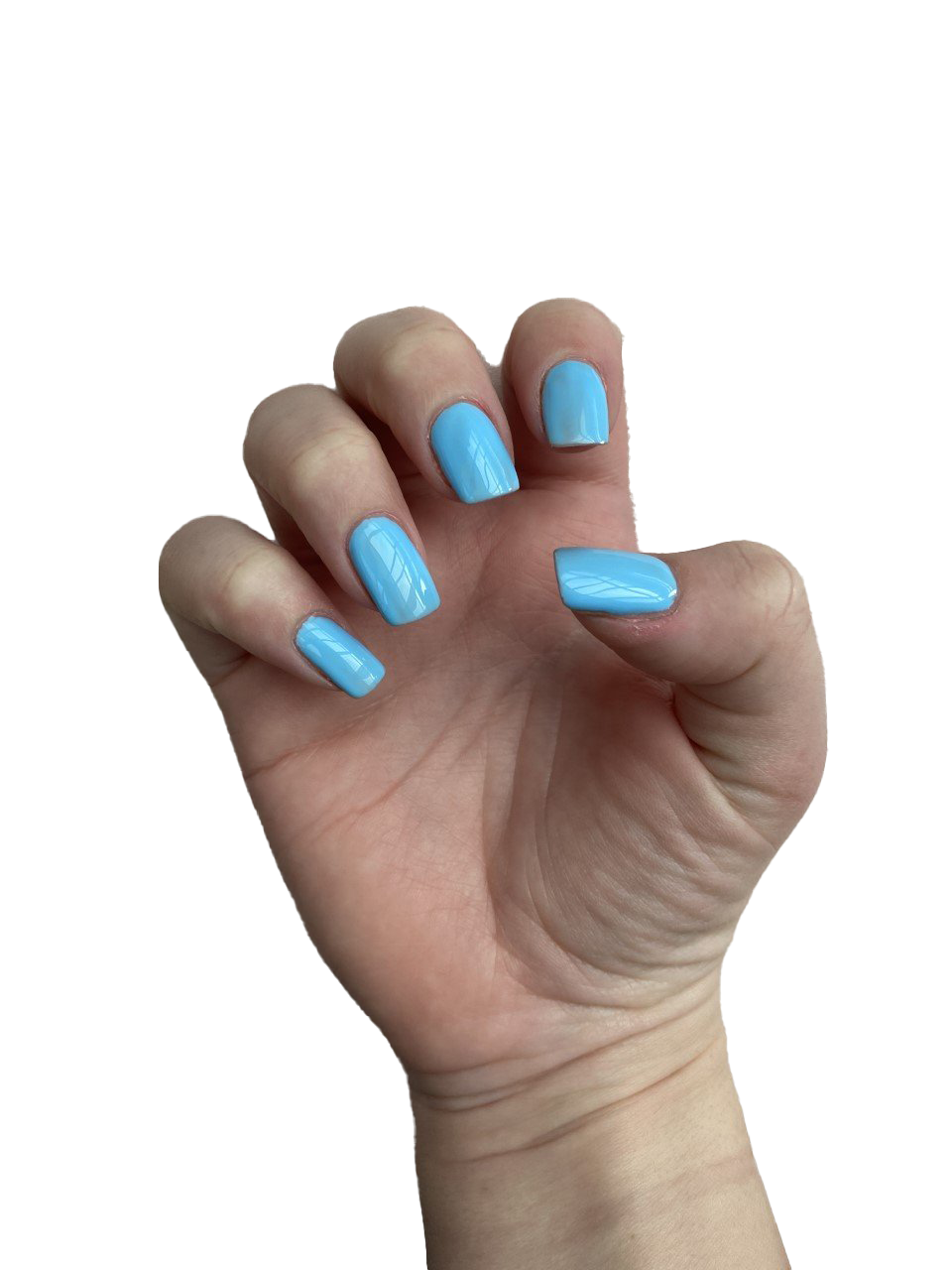 LOYAL LADY IN BLUE | Gelicious Nail Co